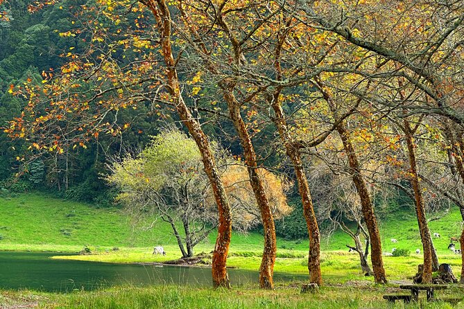 Sete Cidades - Nature Lovers - Private Jeep Tour With Local Guide - Private Jeep Comfort and Convenience
