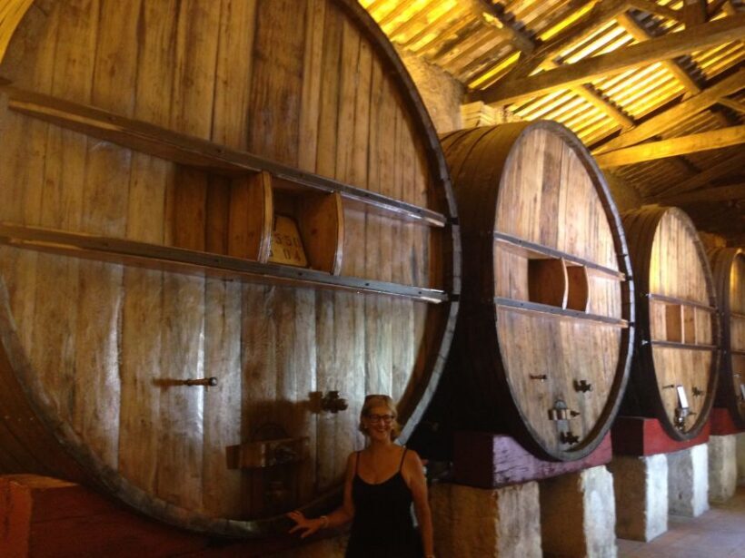 Sète: HalfDay Wine Tour - In The Sum Up