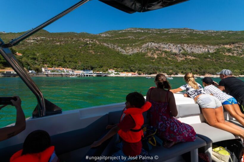 Setúbal: Dolphin Watching Boat Tour - Why Choose the Setúbal Dolphin Tour?