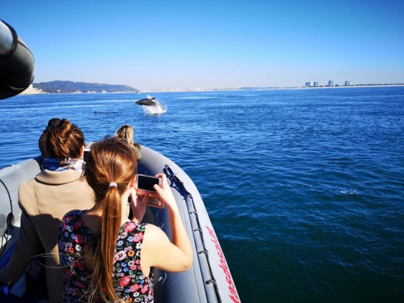 Setúbal: Dolphin Watching Boat Tour - Practical Tips for Travelers