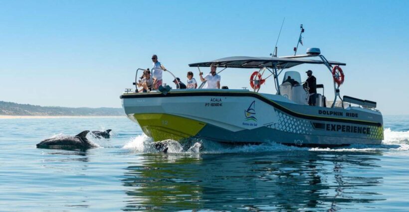 Setúbal: Dolphin Watching Boat Tour - FAQ