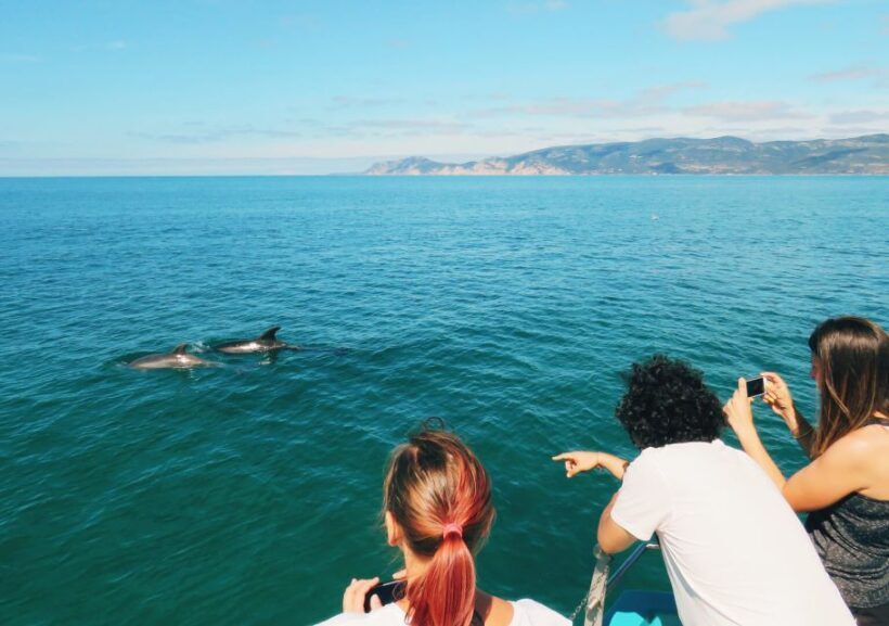 Setúbal: Dolphin Watching Tour - Final Thoughts