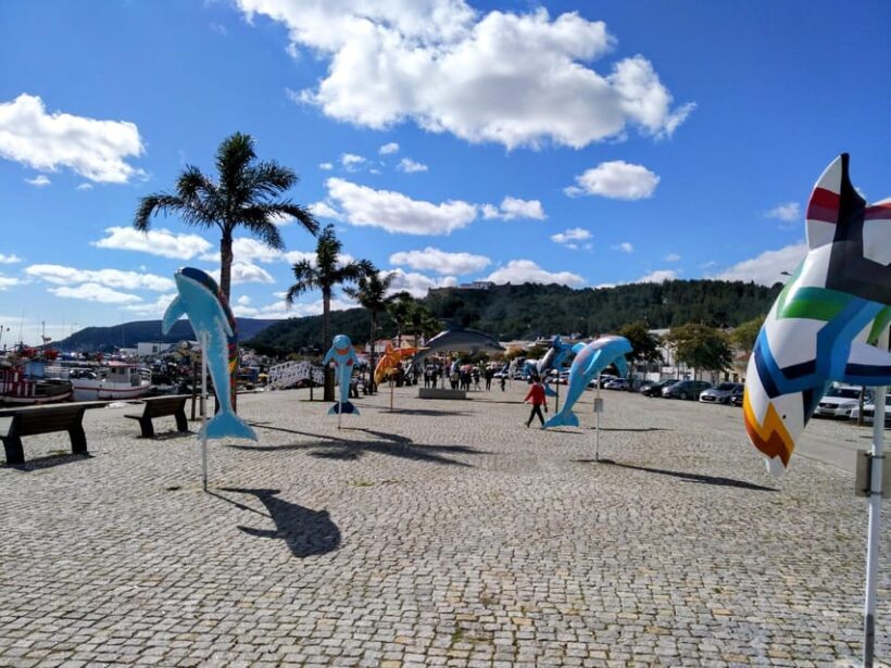 Setúbal: Market, Tiles and Wine (From Lisbon) - Frequently Asked Questions