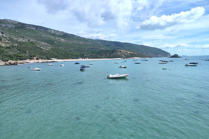 Setúbal, Nature&Culture, among castles, mountains and beaches - What to Expect from This Comprehensive Day Trip