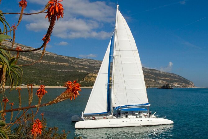 Setúbal Private Tour - Including Dolphin Watching - Price & Value: Is It Worth It?