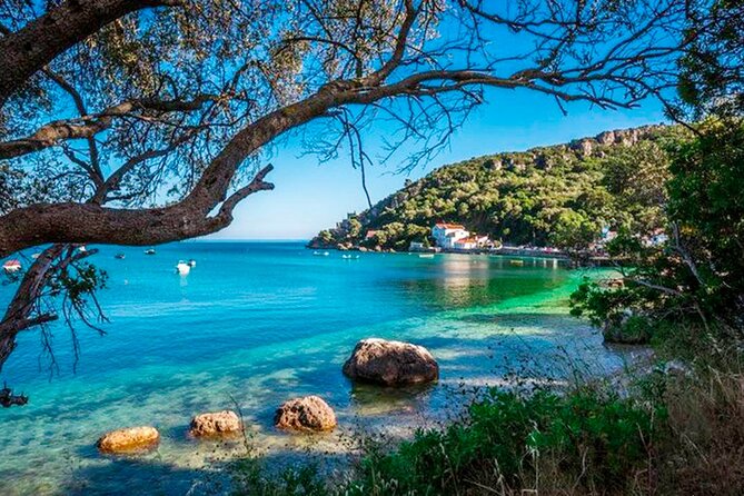 Setúbal Private Tour - Including Dolphin Watching - Final Thoughts: Is the Setúbal Private Tour Right for You?