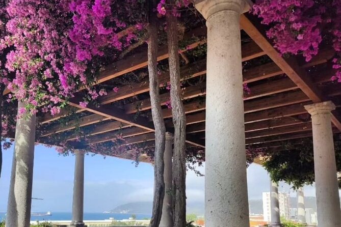 Setúbal Private Walking Tour Off-the-Beaten-Path - Connecting With the Vibrant Artisanal Community