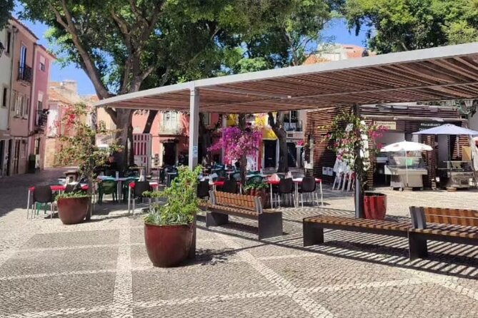 Setúbal Private Walking Tour Off-the-Beaten-Path - Embracing the Breathtaking Coastal Scenery