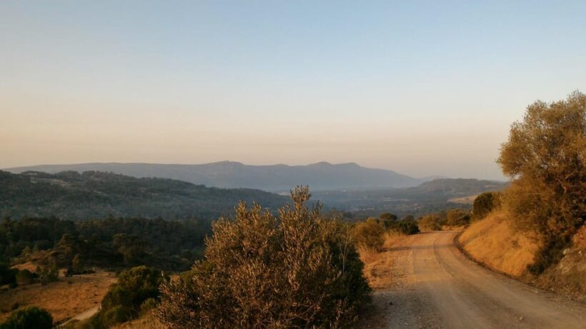 Setúbal: Romantic Picnic Sunset Wine Experience - The Practical Details