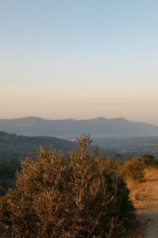 Setúbal: Romantic Picnic Sunset Wine Experience - Why This Tour Offers Genuine Value