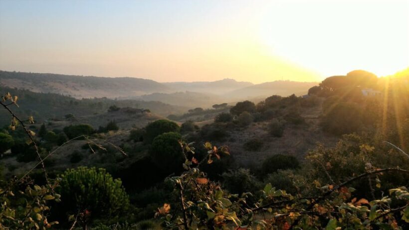 Setúbal: Romantic Picnic Sunset Wine Experience - Frequently Asked Questions
