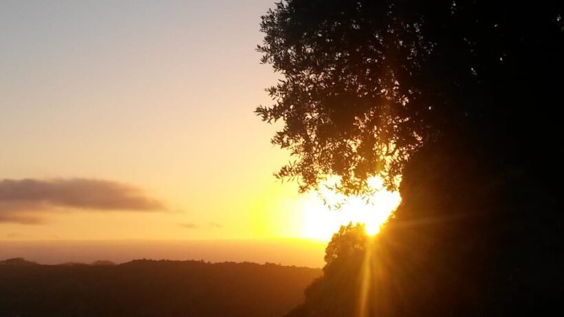 Setúbal: Romantic Picnic Sunset Wine Experience - Final thoughts