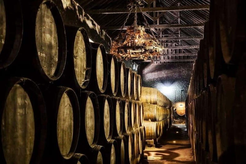 Setúbal Wine Tour: Discover the Moscatel Wine - The Experience in Detail