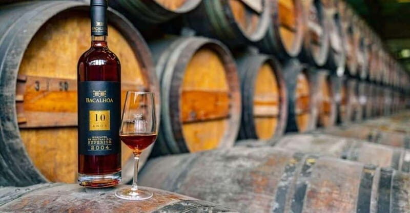 Setúbal Wine Tour: Discover the Moscatel Wine - Who Should Consider This Tour?