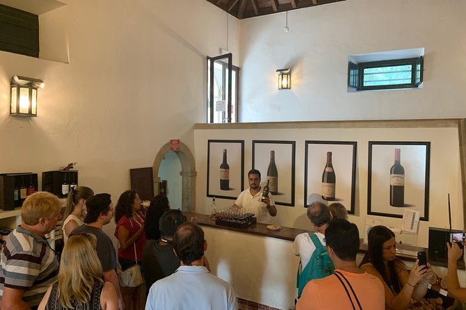 Setúbal Wine Tour With Visit and Tasting at 2 Wineries - Knowledgeable Guides