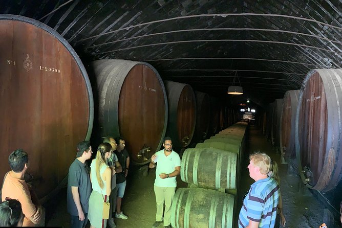 Setúbal Wine Tour With Visit and Tasting at 2 Wineries - Contrasting Winery Atmospheres