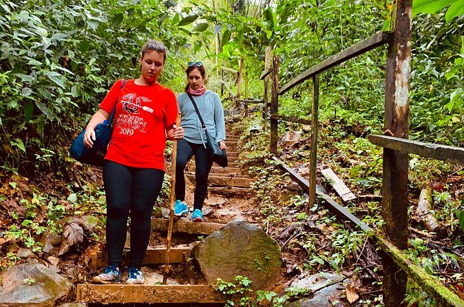 Seven Sisters Falls Hike / Annandale Falls / Grand Etang National Park & Lake - Additional Highlights and Considerations