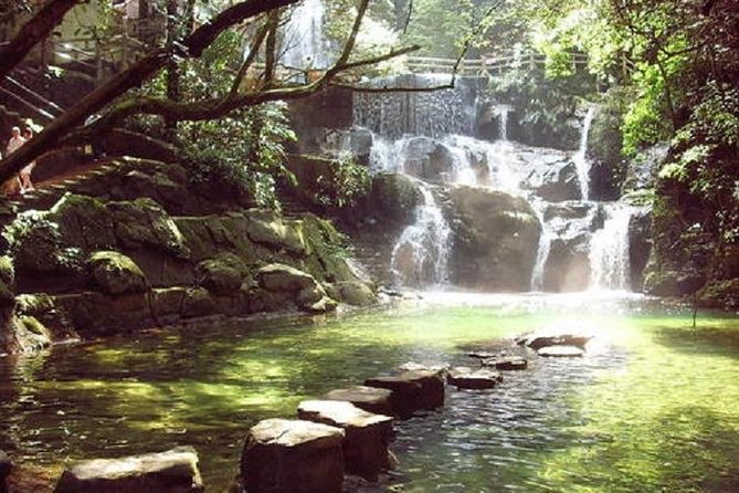 Seven Star Crag and Dinghu Mountain private day tour from Guangzhou - Who is this tour best suited for?