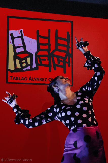 Sevilla: Flamenco Show at Tablao Álvarez Quintero - The Practical Side: Value and Accessibility