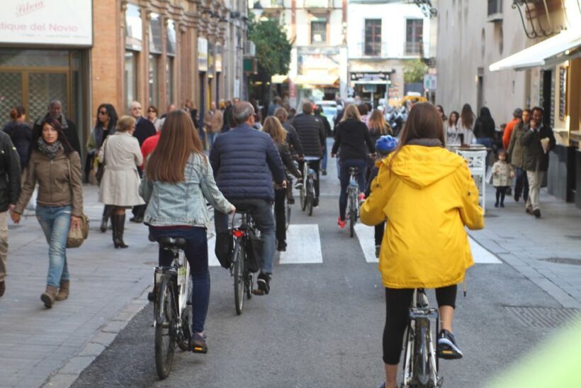 Seville: 1-Day Bike Rental - Introduction