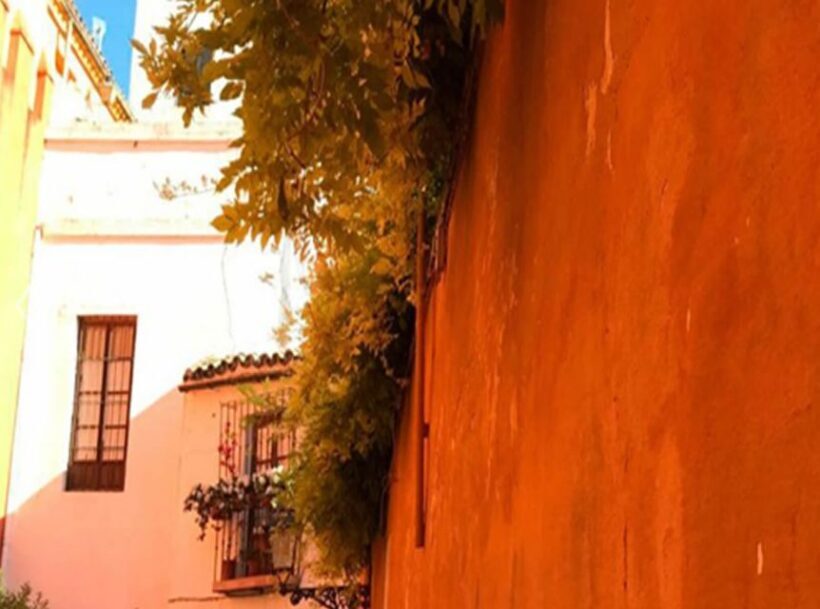 Seville: 1-Hour Walking Tour Barrio de Santa Cruz - FAQs