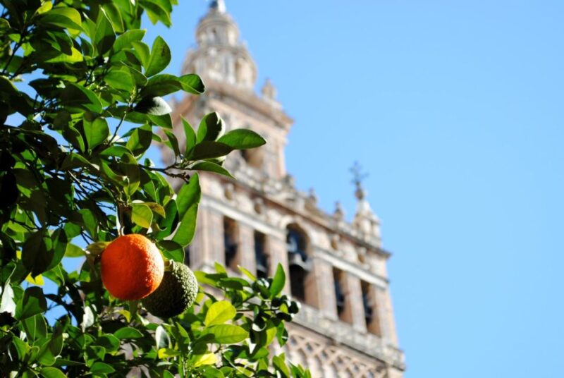 Seville 4-Hour Guided Walking Tour - Final Thoughts: Is It Worth It?