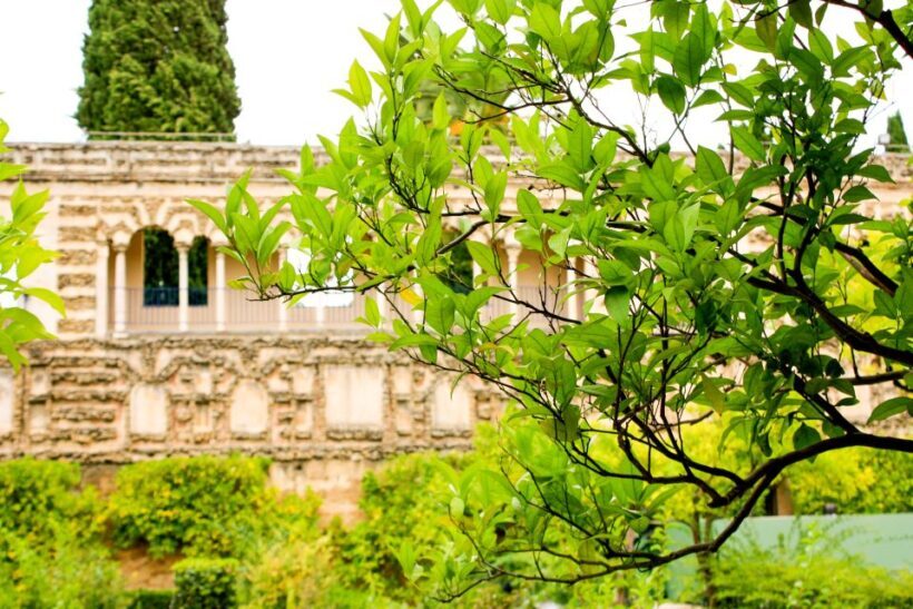 Seville: Alcazar Skip-the-Line Guided Tour with Tickets - Who Will Love This Tour?