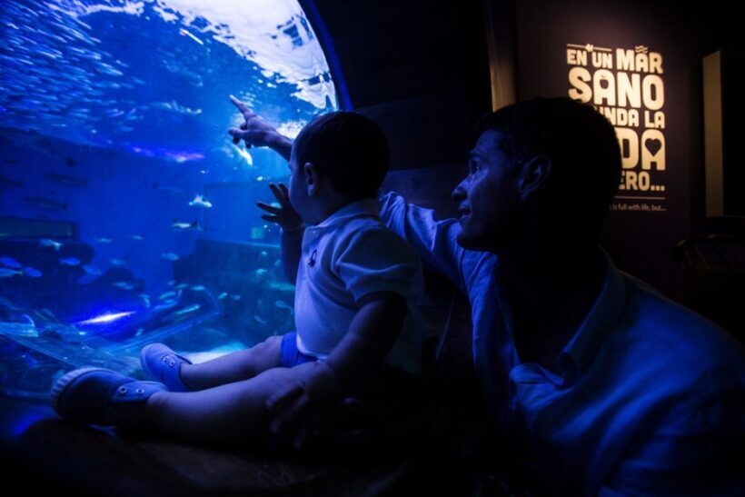 Seville Aquarium Admission Ticket - Final Thoughts: Is It Worth Visiting?
