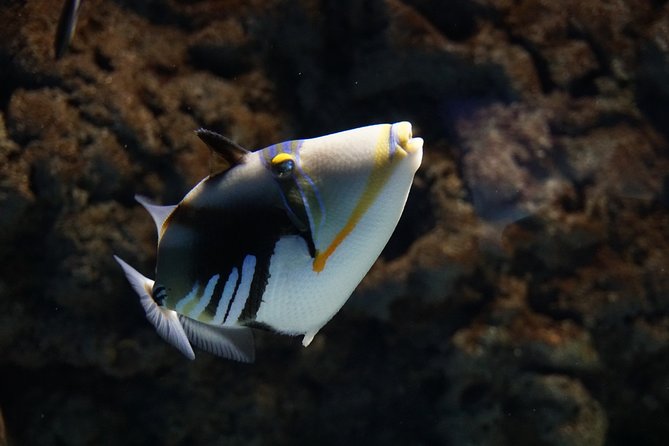 Seville Aquarium Admission Ticket - Transportation and Accessibility