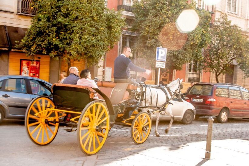 Seville: Authentic and Romantic Horse-Drawn Carriage Ride - What Past Travelers Say