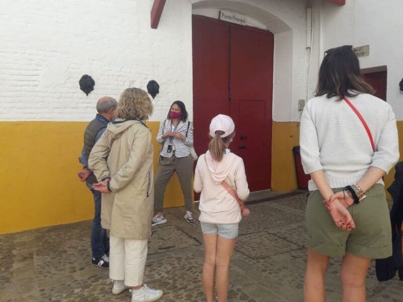 Seville: Bullring Guided Tour with a Skip-the-Line Ticket - Who Will Love This Tour?