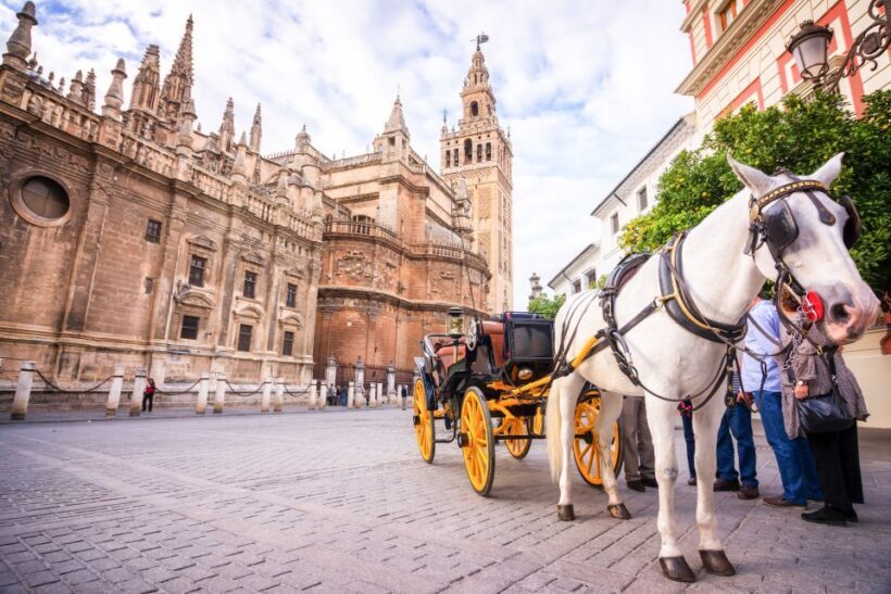 Seville: Cathedral and Alcázar Guided Tour - Key Points