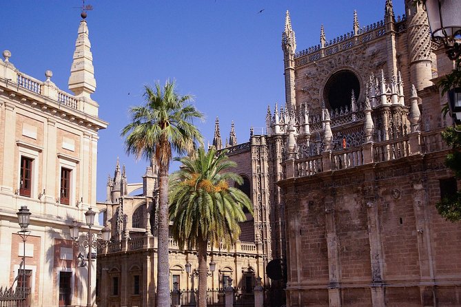 Seville Cathedral and Giralda Tower Guided Tour - Feedback and Reviews From Previous Tour Participants