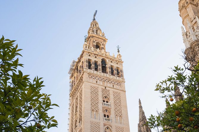 Seville Cathedral and the Giralda Skip the Line Private Tour - Accessibility and Requirements