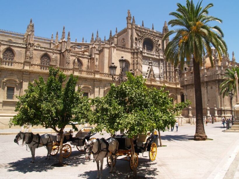 Seville: Cathedral, Giralda, and Alcazar Guided Tour - The Sum Up