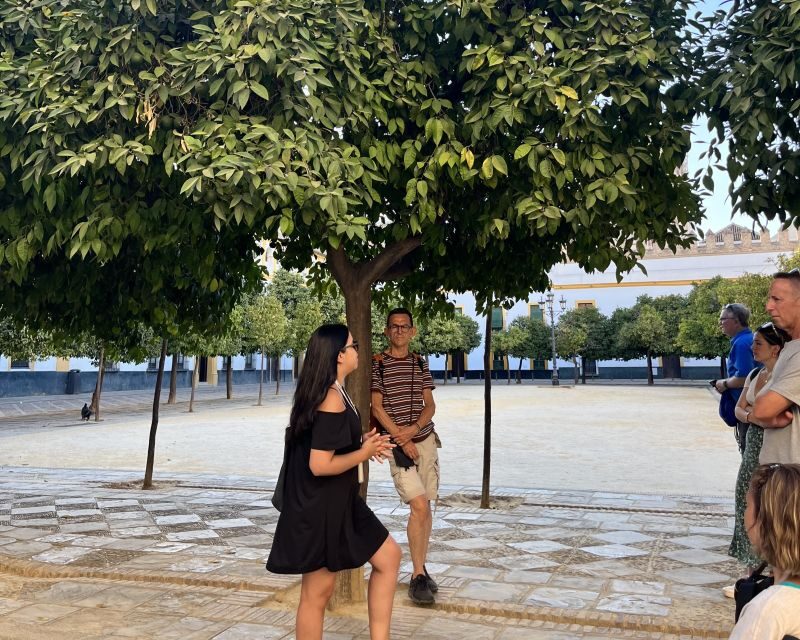 Seville: City Highlights Private Walking Tour - Considerations and Tips