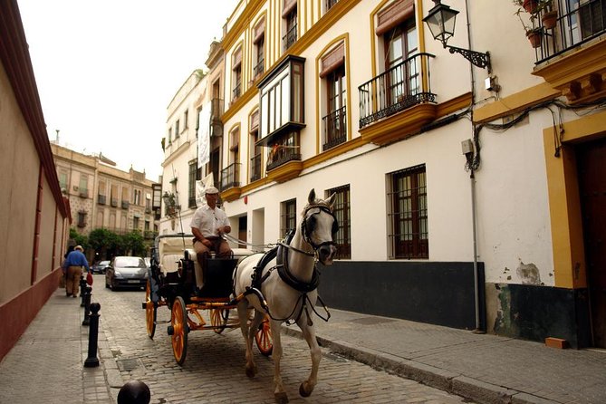 Seville Day Trip From the Algarve - Making the Most of Your Trip: Recommendations and Tips