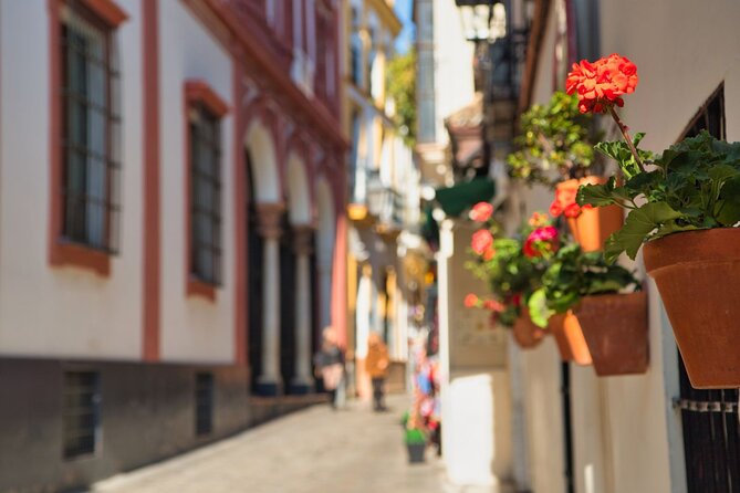 Seville Day Trip With Cathedral Entrance Direct From Malaga - Participant Feedback and Ratings