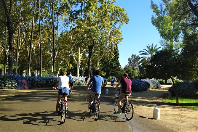 Seville Electric Bike Small Group Tour - Price and Value