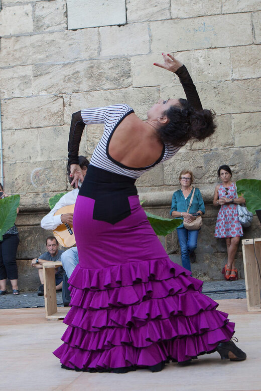 Seville: Enjoy a class of approach to flamenco - A Deep Dive into the Flamenco Class Experience