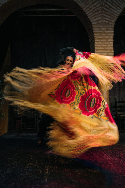 Seville: Flamenco 2 x 1: Flamenco Tour + Dance Class - The Sum Up