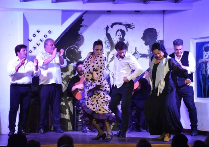 Seville: Flamenco Show at Tablao Los Gallos - The Practicalities