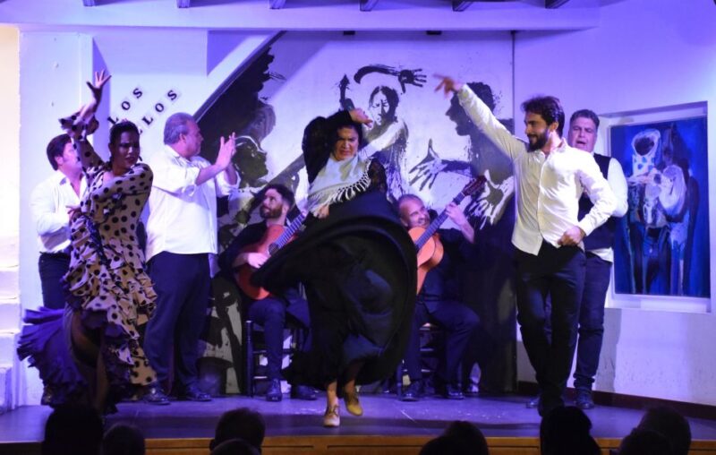 Seville: Flamenco Show at Tablao Los Gallos - Who Should Consider This Experience?