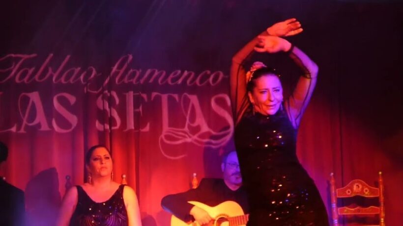 Seville: Flamenco Show & Roof Dinner with Cathedral Views - Key Points