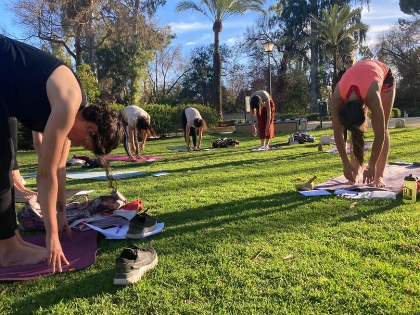 Seville: Group Yoga classes All levels - in French - A Closer Look at the Experience