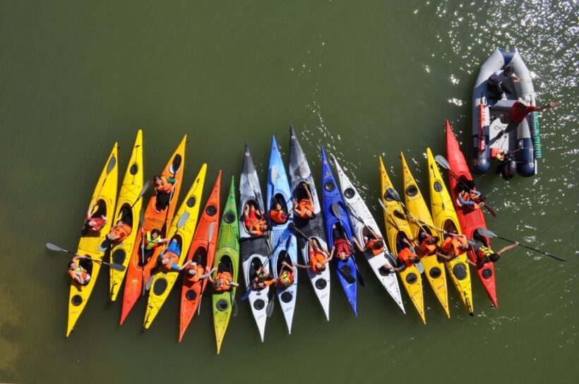Seville: Guadalquivir River Kayak Tour or Kayak Rental - The Practical Side: Logistics and Value