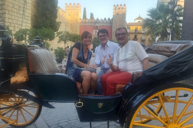 Seville Guided Horse Carriage Private Tour - Meeting Point and Transportation