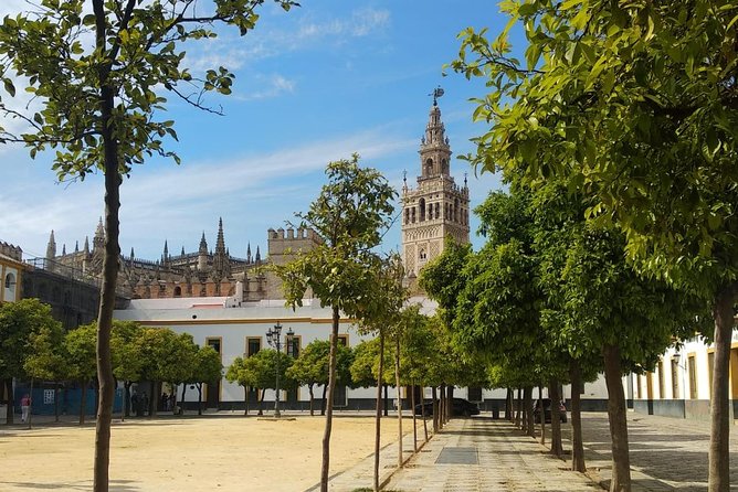 Seville Highlights Private Walking Tour - Meeting Point and Accessibility