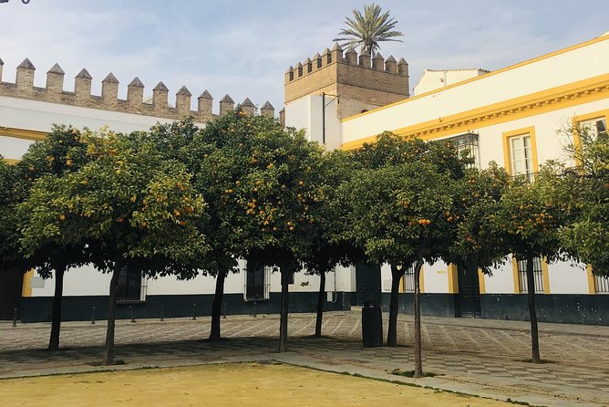 Seville Highlights Private Walking Tour - Tour Highlights