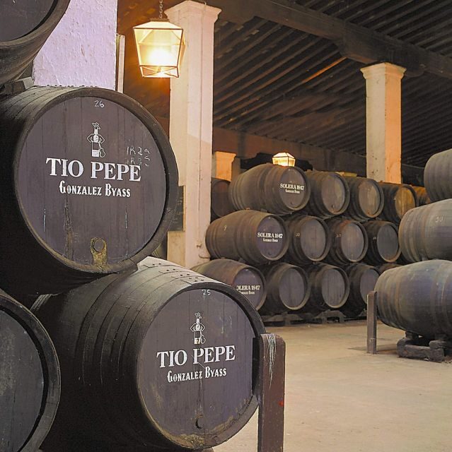 Seville: Jerez, Cadiz Wine Tasting with Optional Horse Show - What We Love About This Tour